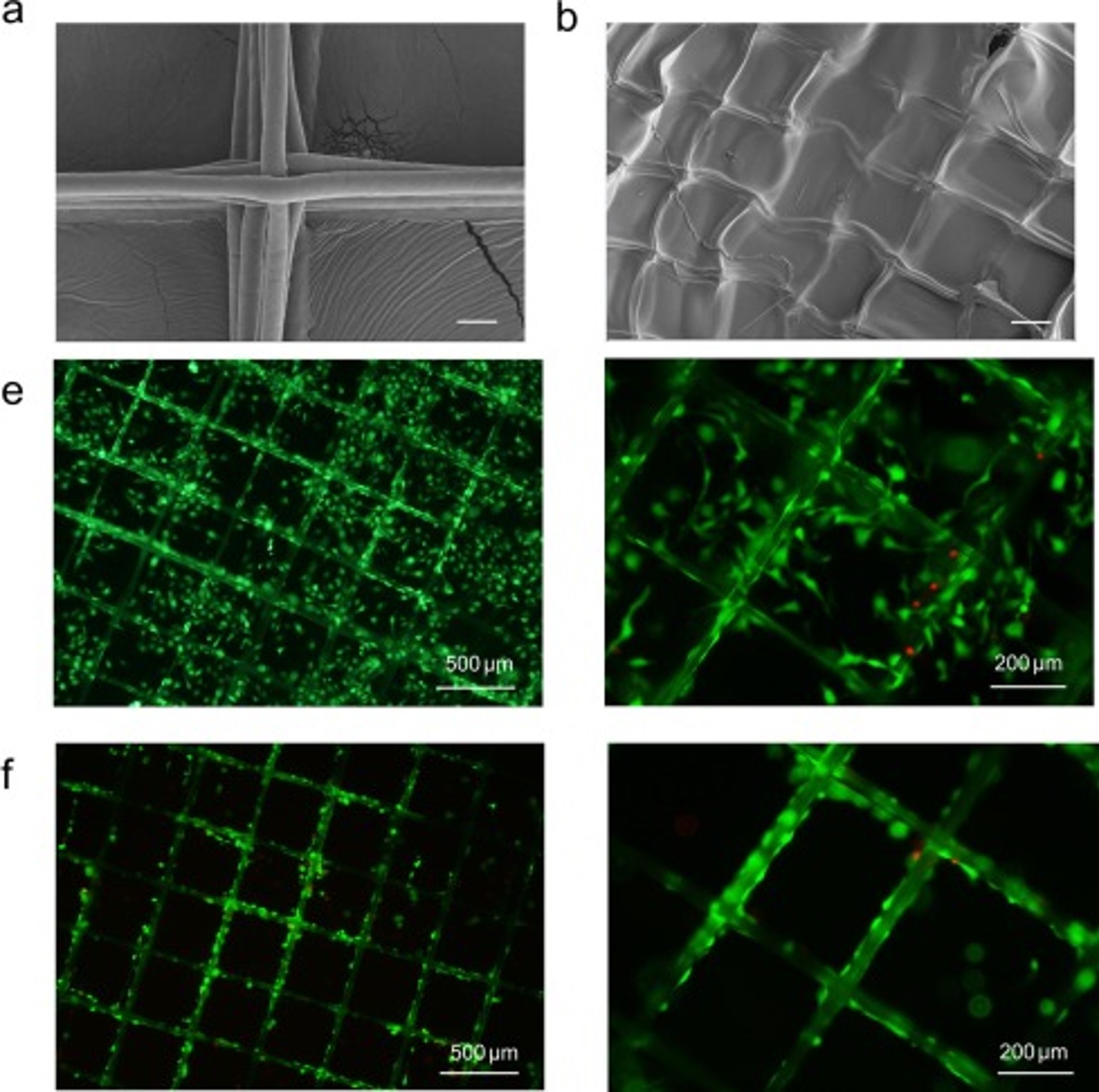 Methods of seeding cells into electrospun scaffold