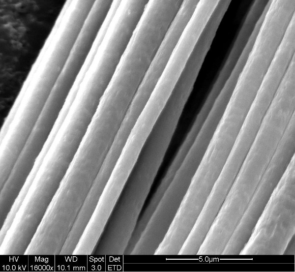 Electrospun fibers for tendon and ligament repairs